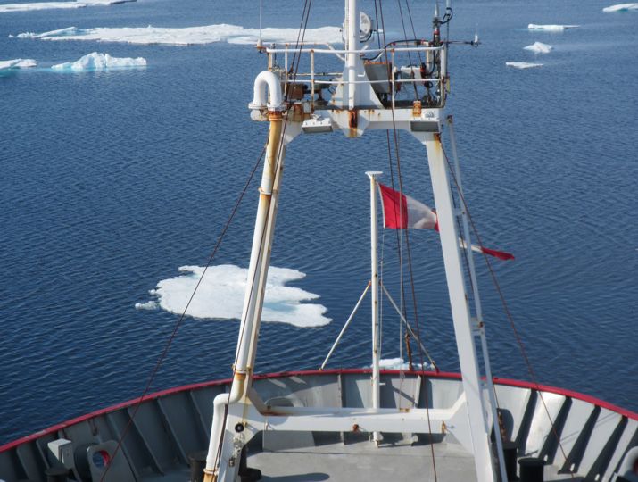 story Archives - Adventures in Oceanography and Teaching