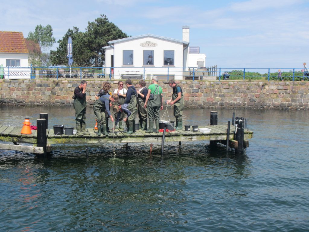 teacher training Archives - Adventures in Oceanography and Teaching