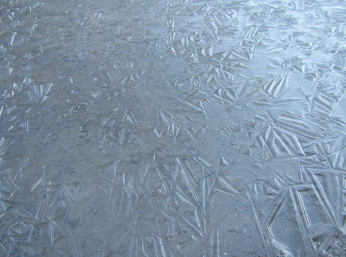 ice formation Archives - Adventures in Oceanography and Teaching