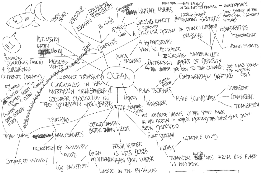 CMM31 Archives - Adventures in Oceanography and Teaching