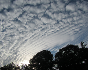 Cloud waves - wave clouds - Adventures in Oceanography and Teaching