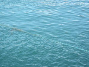 Fetch and wind waves - Adventures in Oceanography and Teaching