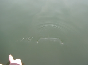 Creating eddies - Adventures in Oceanography and Teaching