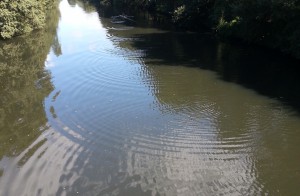 Reading the water - Adventures in Oceanography and Teaching