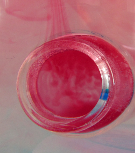 Experiment: Double-diffusive mixing (salt fingering) - Adventures in ...