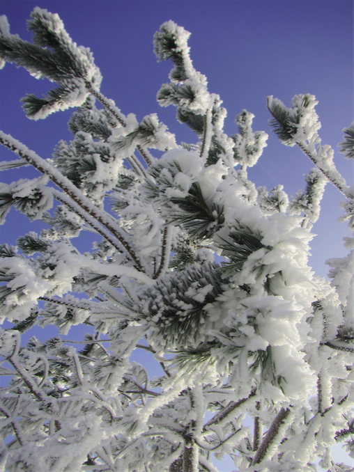 Schlei Archives - Adventures in Oceanography and Teaching