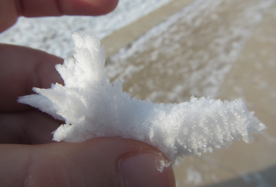 Frost flowers - when water vapour freezes to ice without going through ...