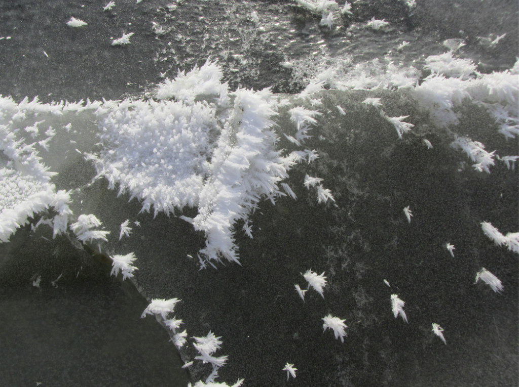 Frost flowers - when water vapour freezes to ice without going through ...