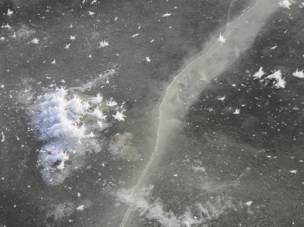 deposition Archives - Adventures in Oceanography and Teaching