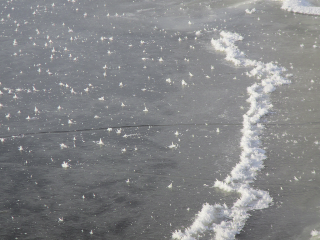 freezing Archives - Adventures in Oceanography and Teaching