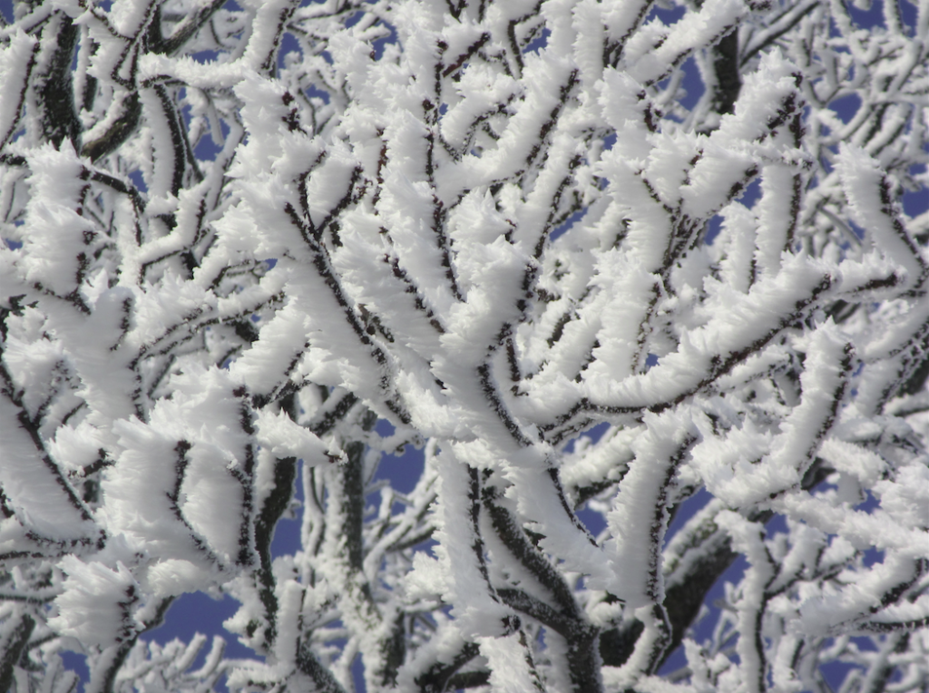 freezing Archives - Adventures in Oceanography and Teaching