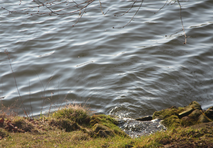 More wave phenomena on a lake, and a bit about wind - Adventures in ...