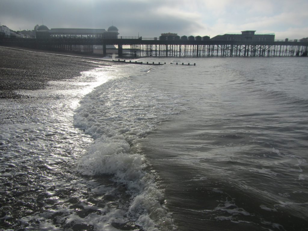 Hastings Archives - Adventures in Oceanography and Teaching