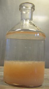 Measuring the concentration of dissolved oxygen in sea water – Part 2 ...