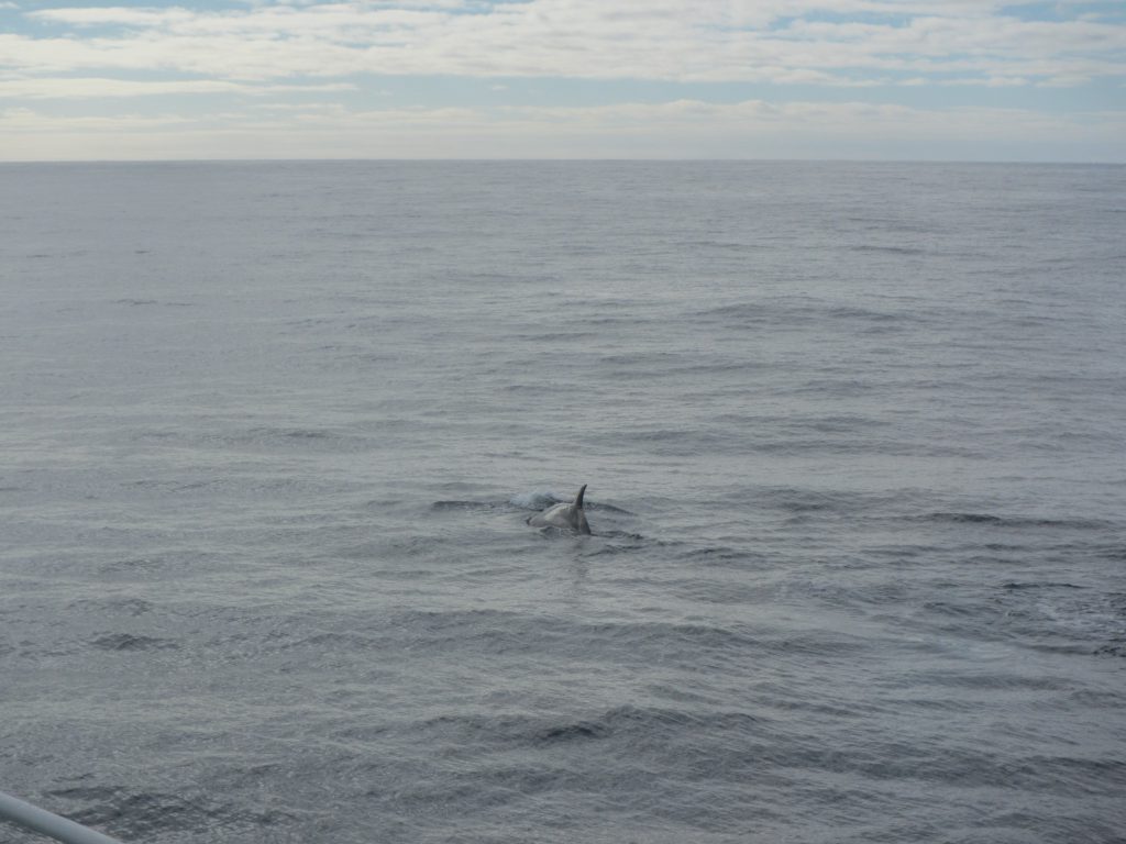 Joys of a sea-going oceanographer - Adventures in Oceanography and Teaching
