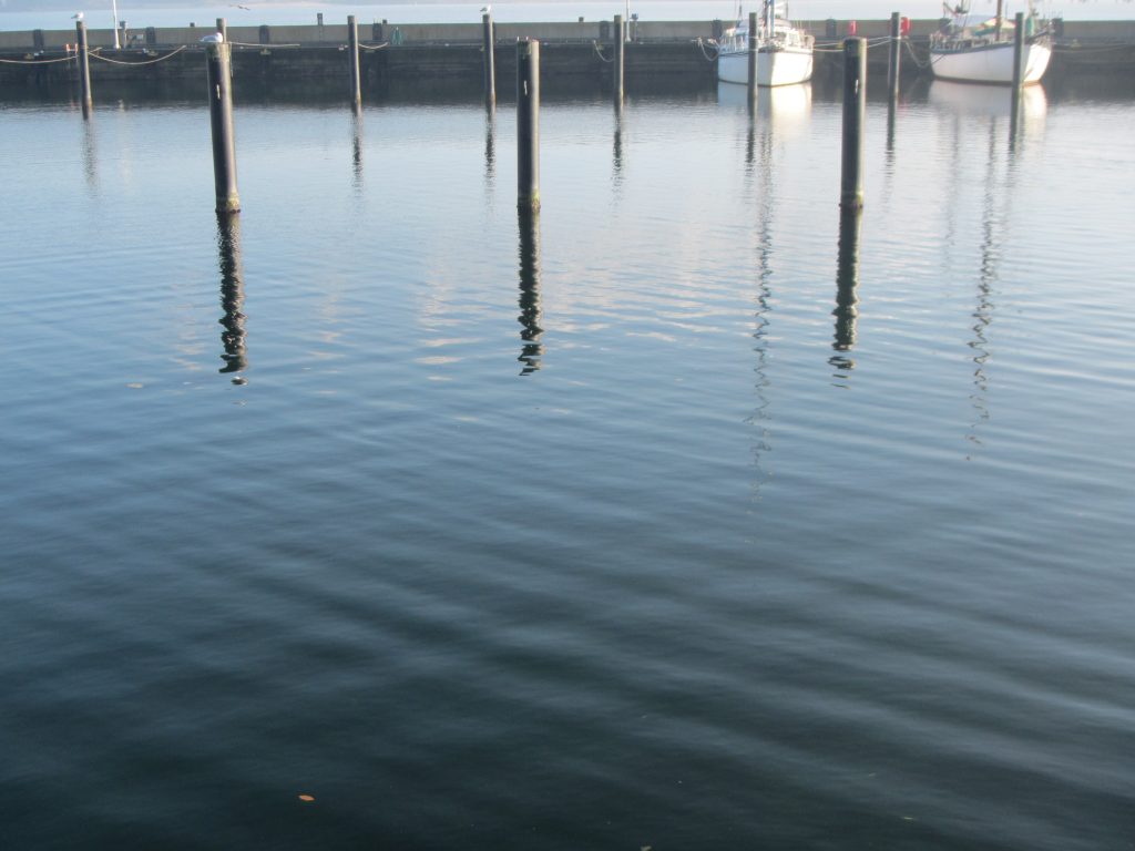 shallow water waves Archives - Adventures in Oceanography and Teaching