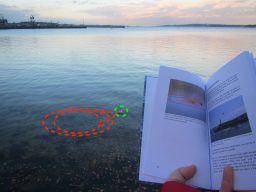 Let's go wave-watching! Strolling through oceanography - Adventures in ...