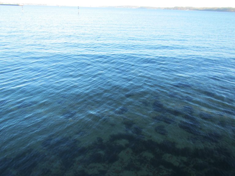 Interference of one wave field with its reflection and a second wave ...