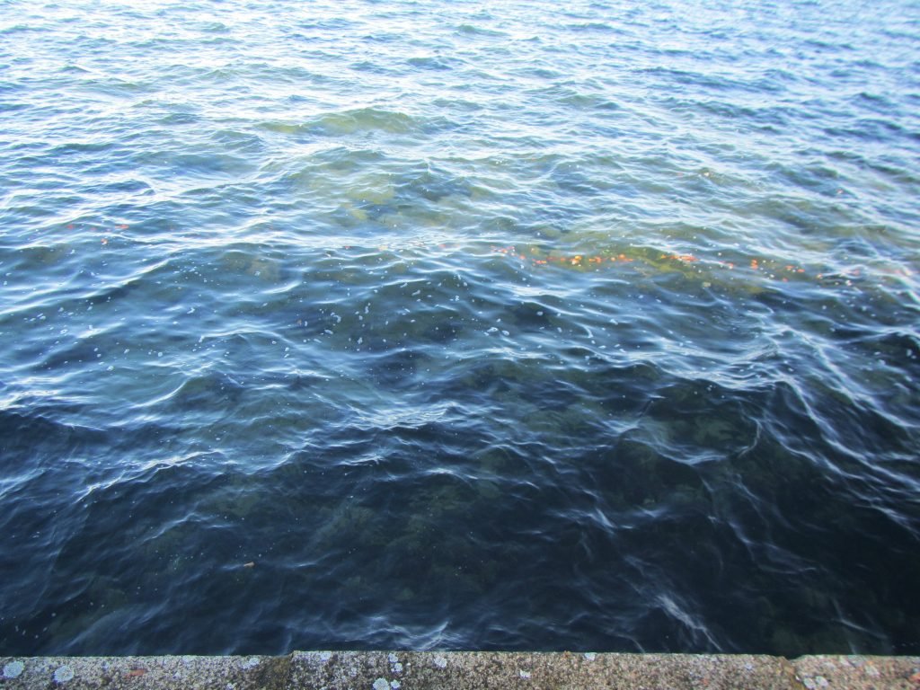 langmuir circulation Archives - Adventures in Oceanography and Teaching