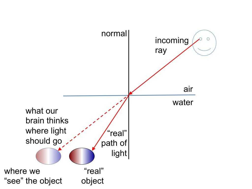 optics Archives - Adventures in Oceanography and Teaching