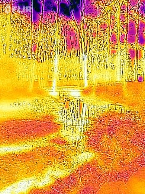 Playing with a thermal imaging camera - Adventures in Oceanography and ...