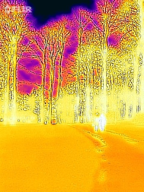 Playing with a thermal imaging camera - Adventures in Oceanography and ...