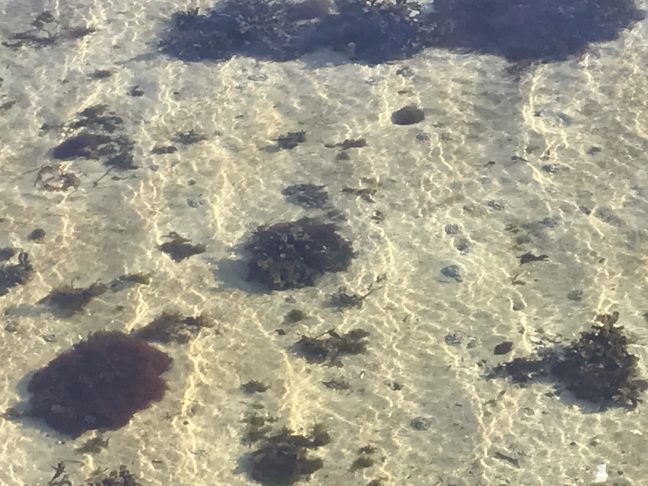 Group velocity and phase velocity - Adventures in Oceanography and Teaching