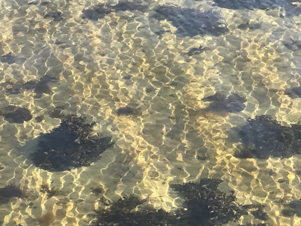 Group velocity and phase velocity - Adventures in Oceanography and Teaching