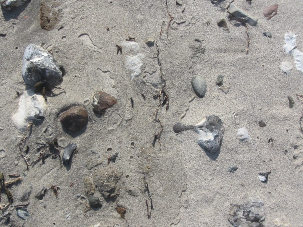 Traces in the sand - Adventures in Oceanography and Teaching