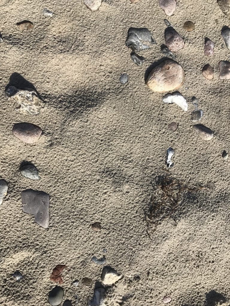 sand Archives - Adventures in Oceanography and Teaching