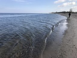 Refraction of waves towards the beach - Adventures in Oceanography and ...