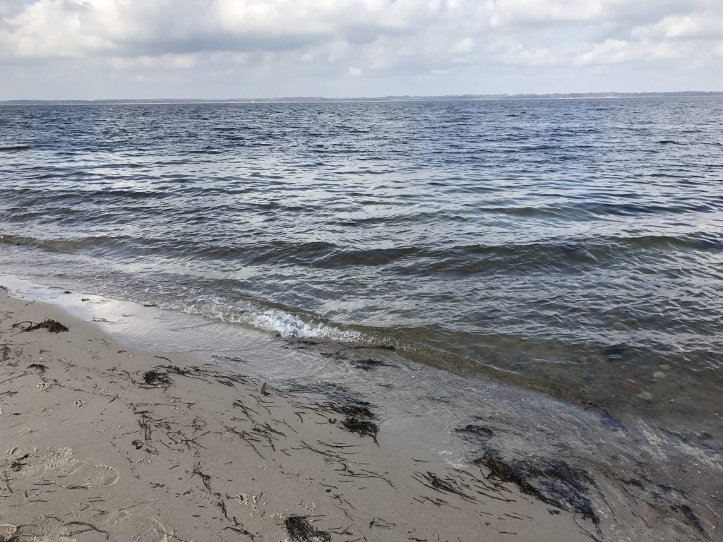 Refraction of waves towards the beach - Adventures in Oceanography and ...