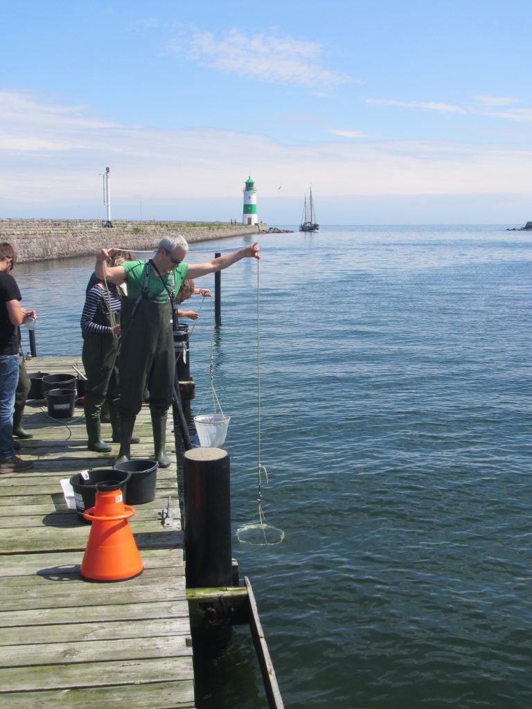 teacher training Archives - Adventures in Oceanography and Teaching