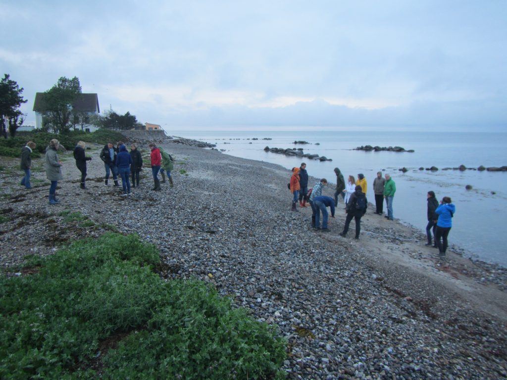 teacher training Archives - Adventures in Oceanography and Teaching