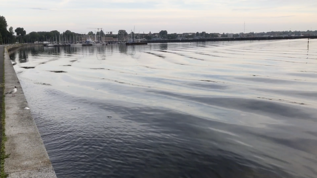 Awesome reflection of a wave train - Adventures in Oceanography and ...