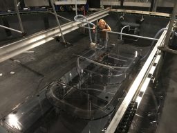 Rotating a whole swimming pool - Adventures in Oceanography and Teaching