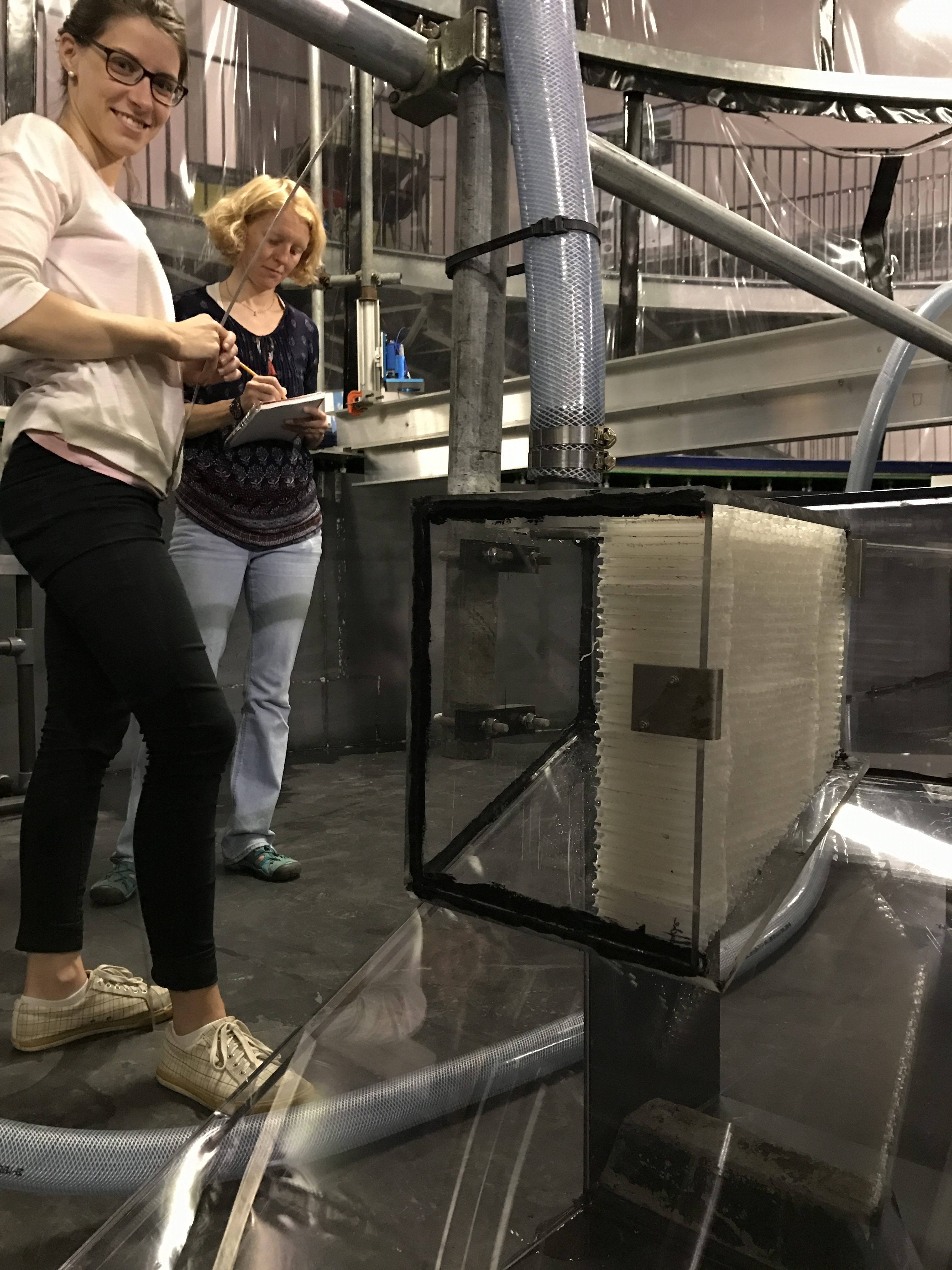 bubbles Archives - Adventures in Oceanography and Teaching