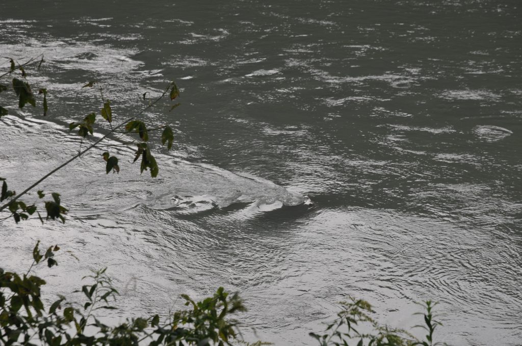 standing waves Archives - Adventures in Oceanography and Teaching