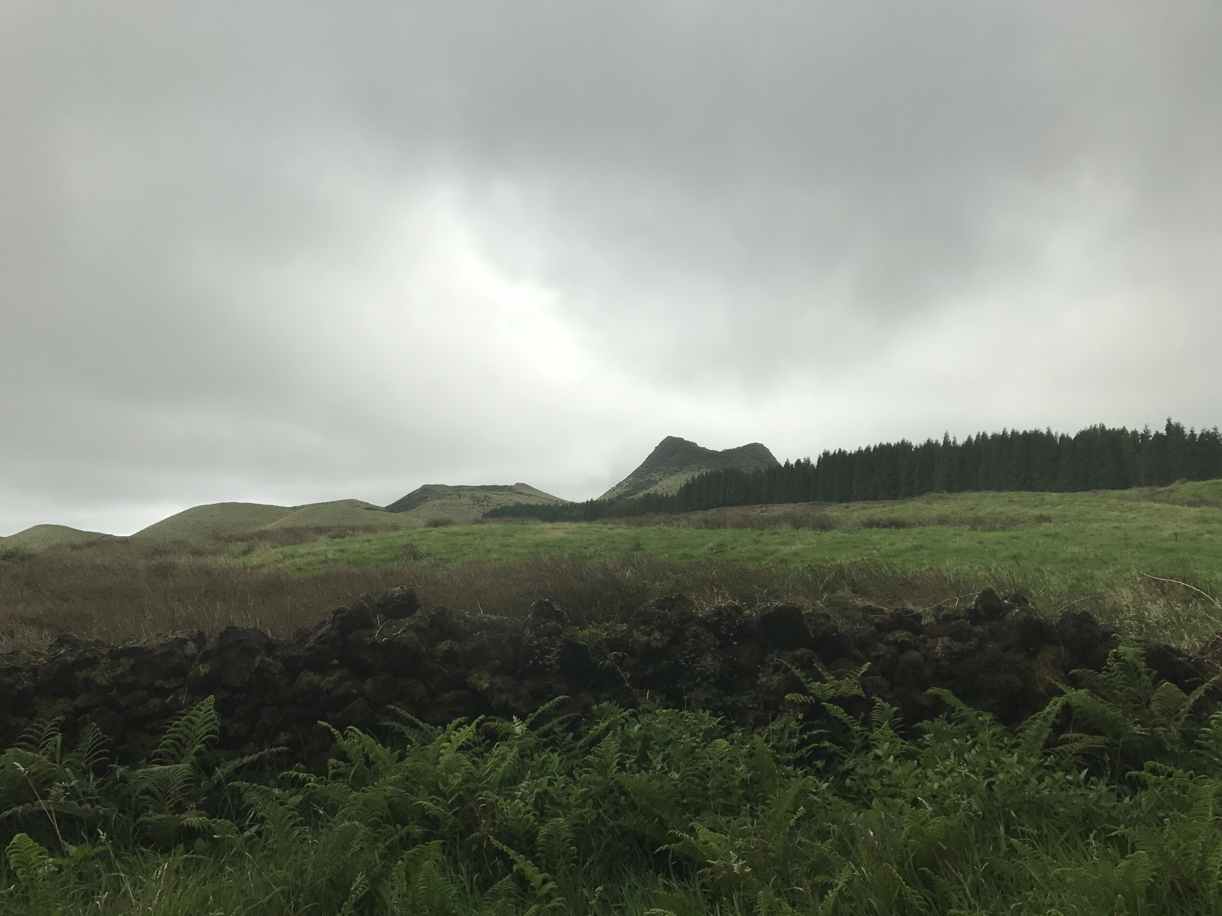 Volcano tour on Terceira - Adventures in Oceanography and Teaching