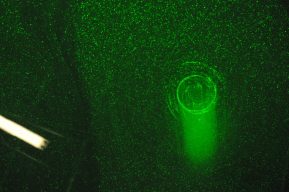 We discovered a new galaxy! Or at least a very pretty vortex ...