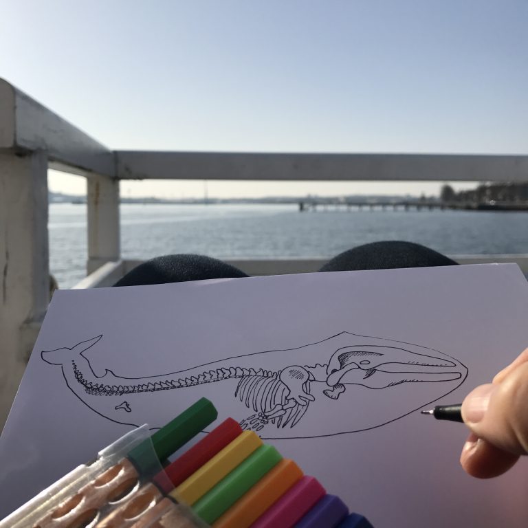 #SciCommChall: 10 pictures to illustrate my work - Adventures in ...