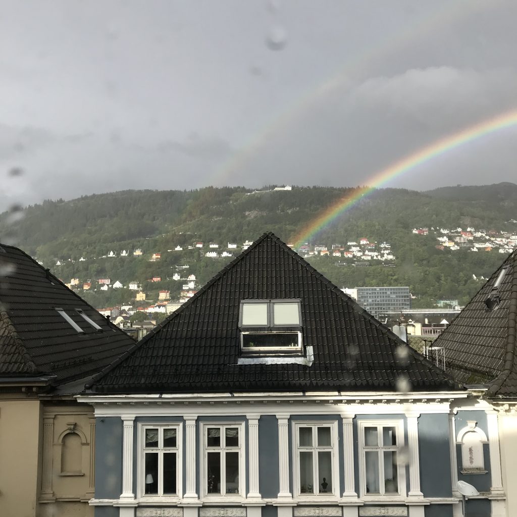 Alexander's band: the dark space in between a primary and secondary ...