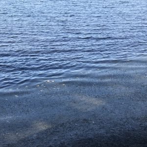 What makes and destroys waves - Adventures in Oceanography and Teaching