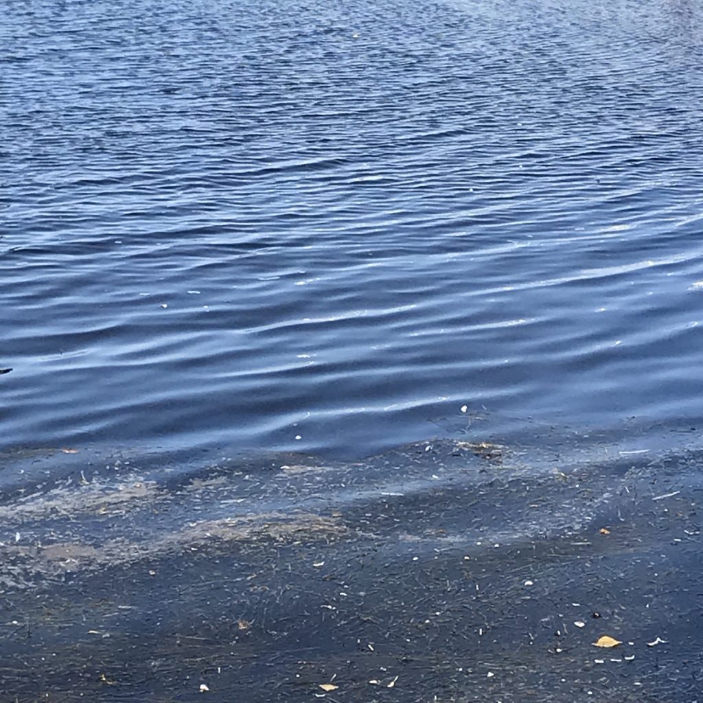 What makes and destroys waves - Adventures in Oceanography and Teaching