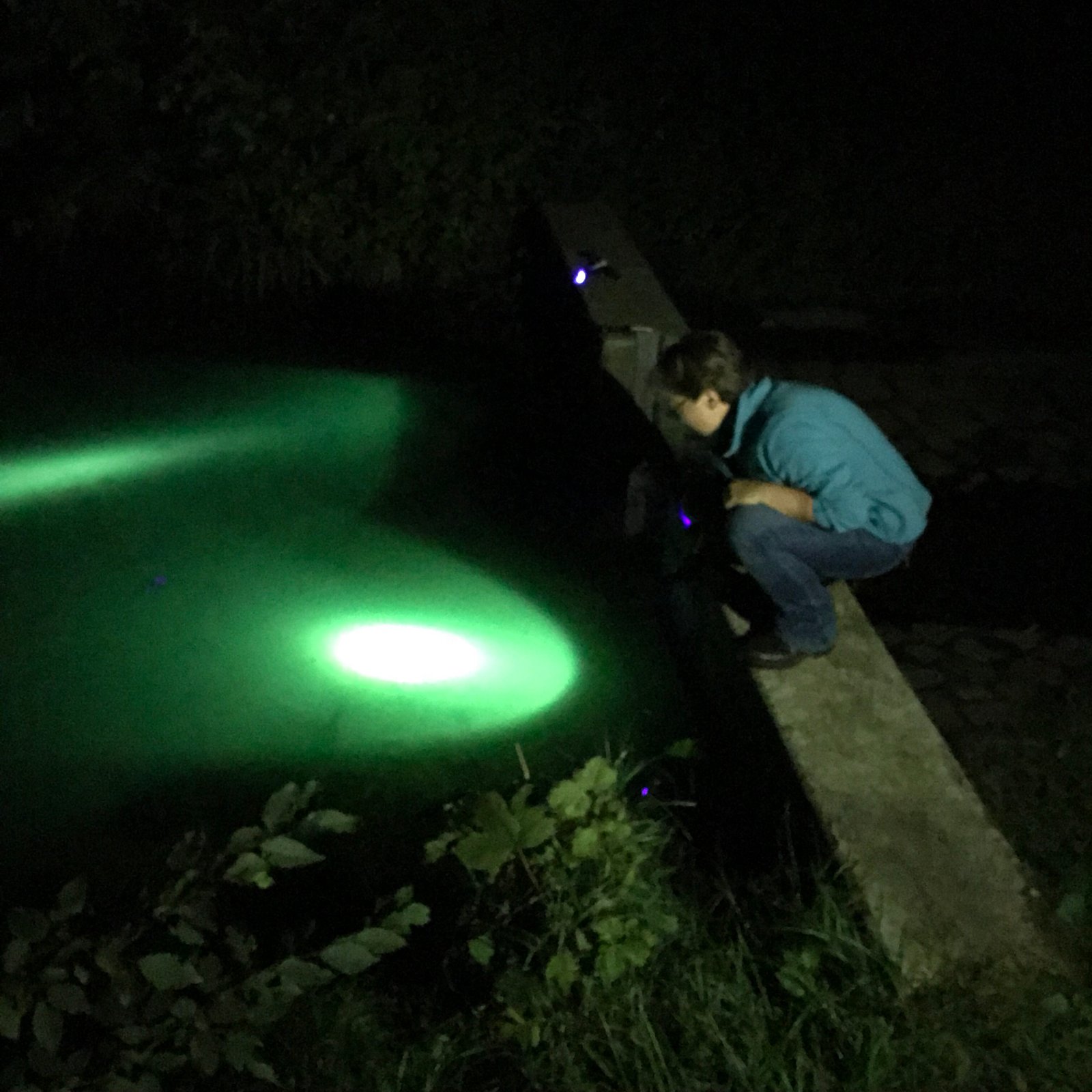 Fluorescent night walk — following the stream through the lake into ...