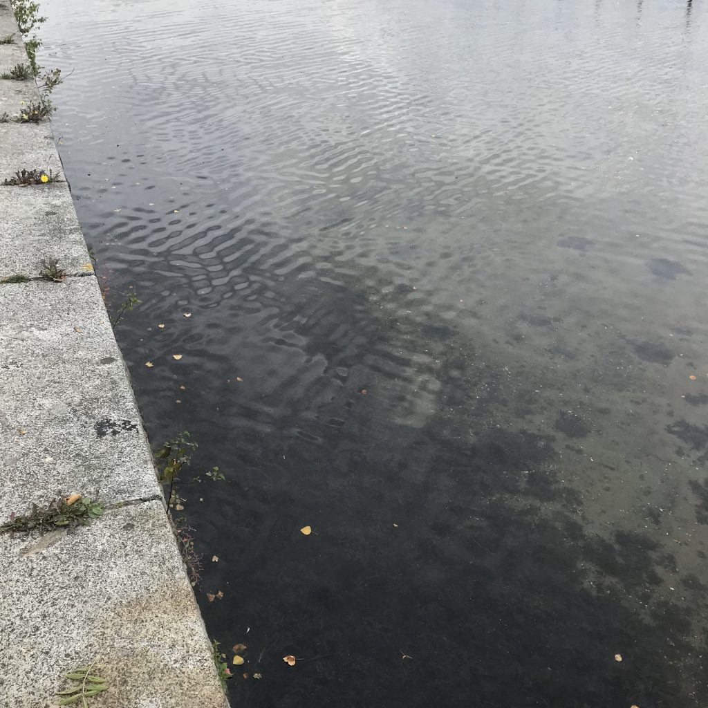 Wave reflections - Adventures in Oceanography and Teaching