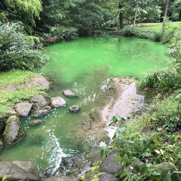 Balances of dyed and un-dyed waters - Adventures in Oceanography and ...