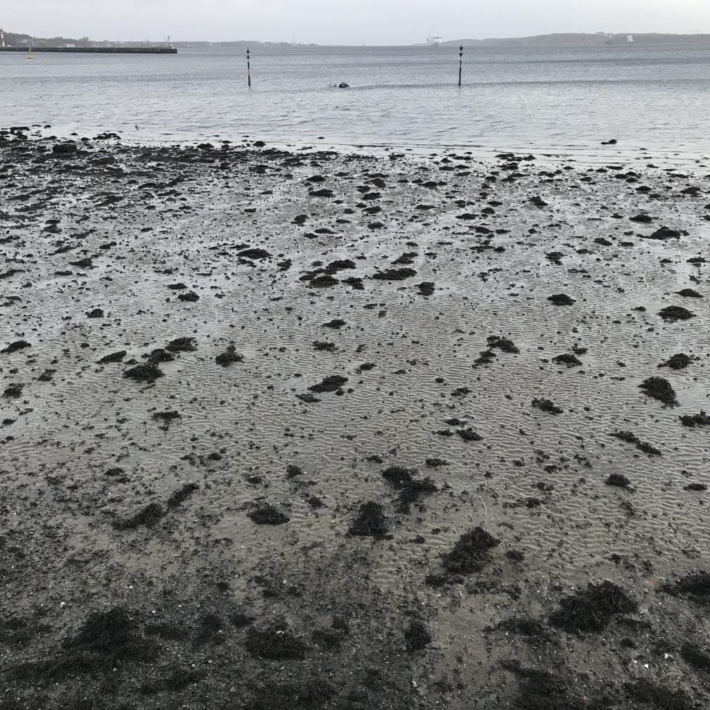 Where has all the water gone? - Adventures in Oceanography and Teaching