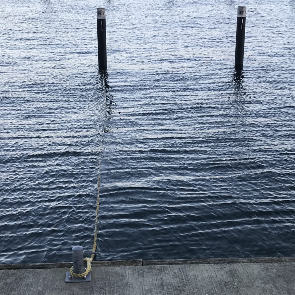 Forget about big waves, today we are focussing on the details ...