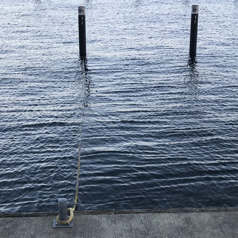 Forget about big waves, today we are focussing on the details ...